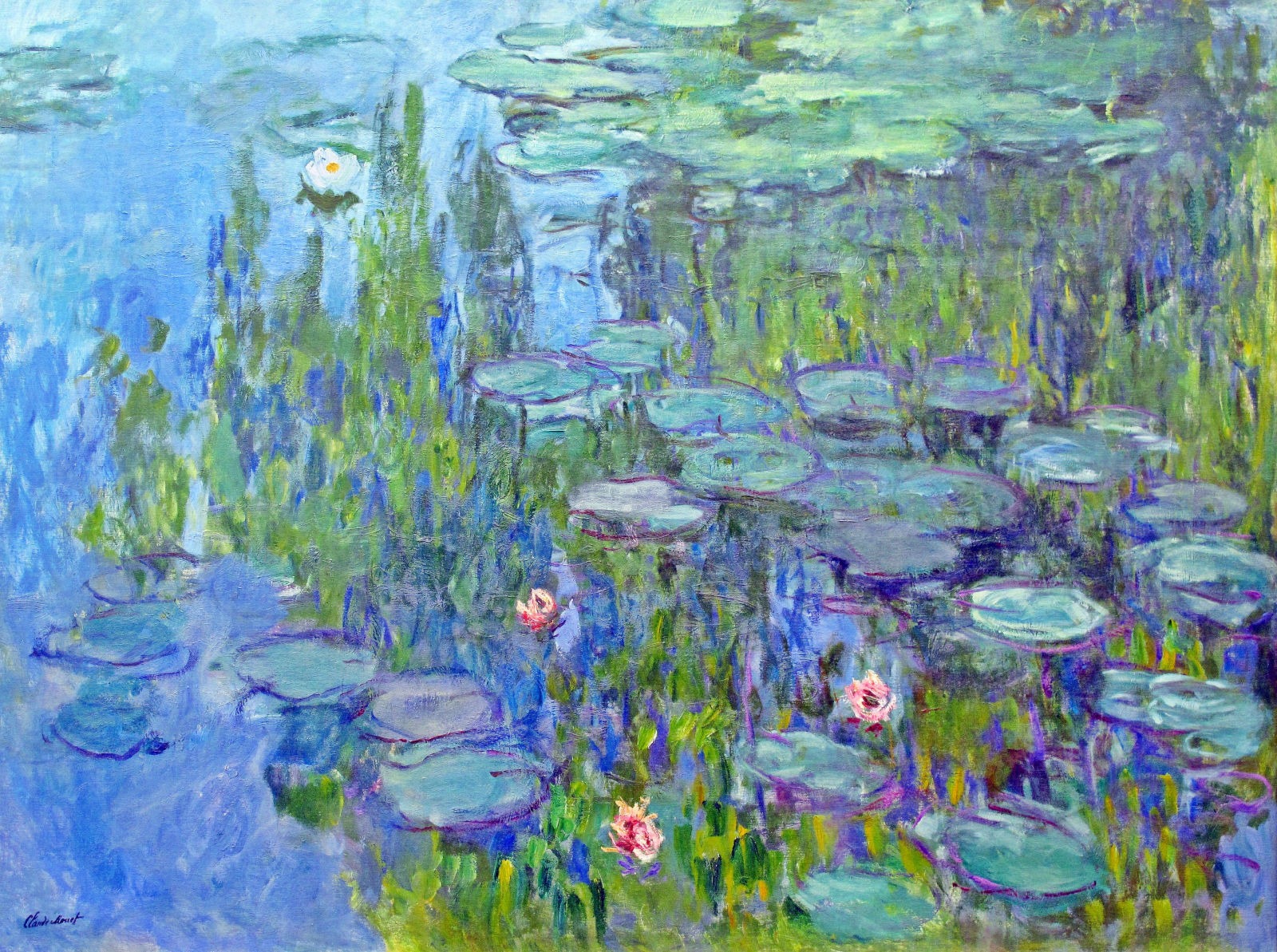 Water Lillies | Borborigmi di un fisico renitente